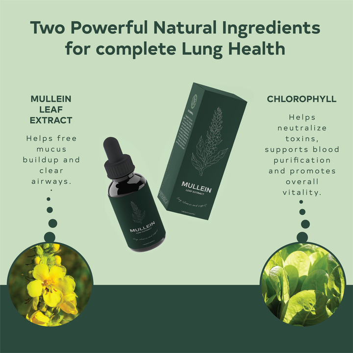 OxyBio Mullein & Chlorophyll Lung Detox Drops